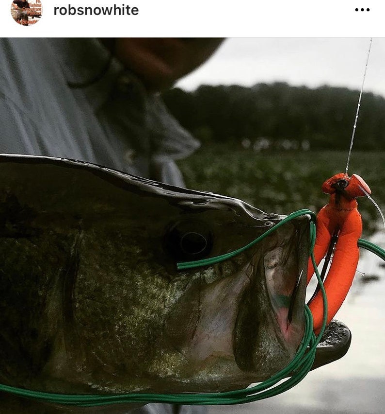 Tie Your Own Gutless Frog Kit - Etsy