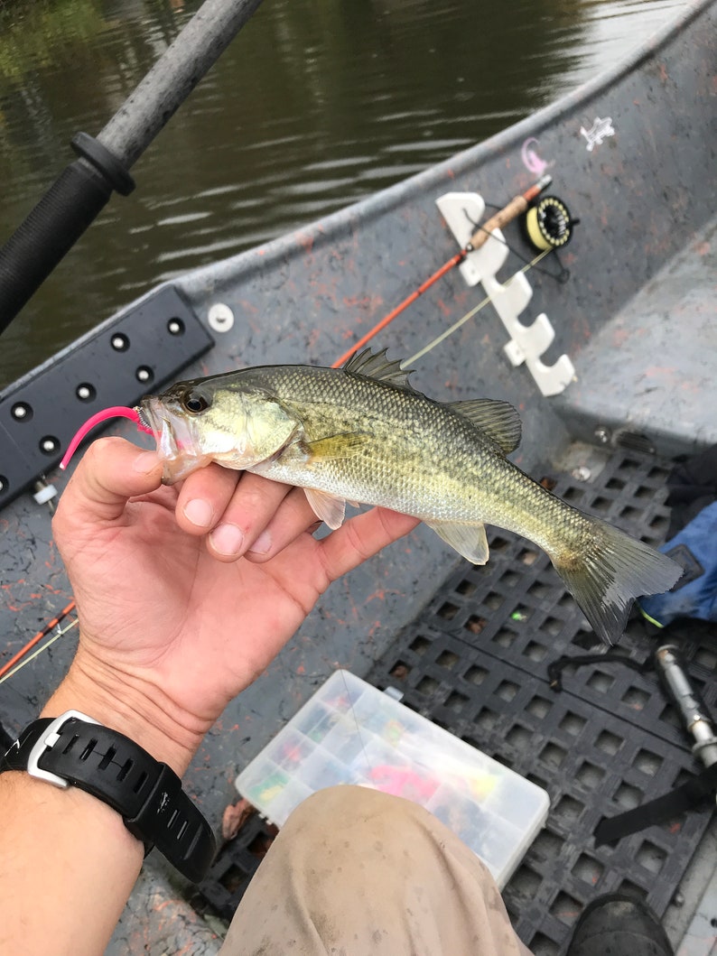 Six Purple Money Maker Wormy Worm Fly Size Small | Etsy