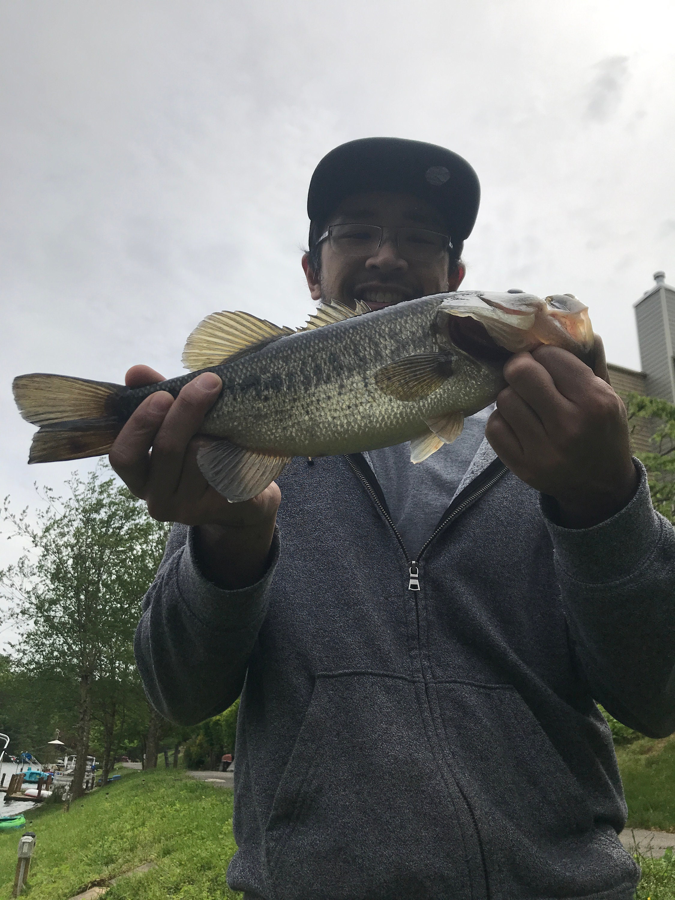 Six GREEN Money Maker Wormy Worm Fly Size Small - Etsy