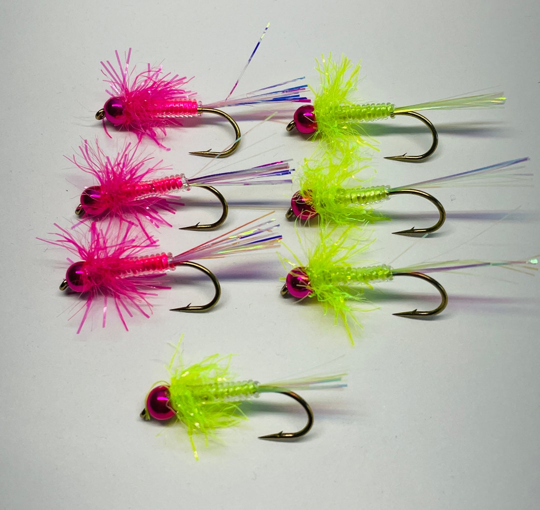 7 Shad Fly Darts - Etsy