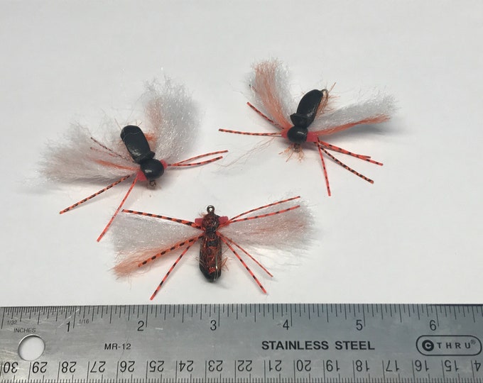 Cicada Black and Orange - Etsy