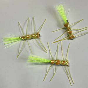 3 Snowhite Scorpion Bug Top Water Bass Foam Slider - Etsy