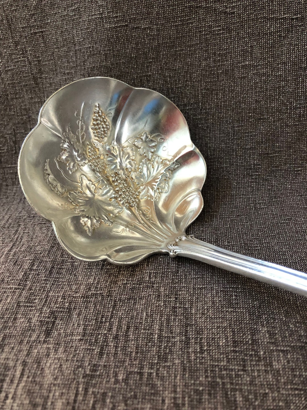 Moselle Pattern Oyster Ladle American Silver Co. Silverplate Large - Etsy
