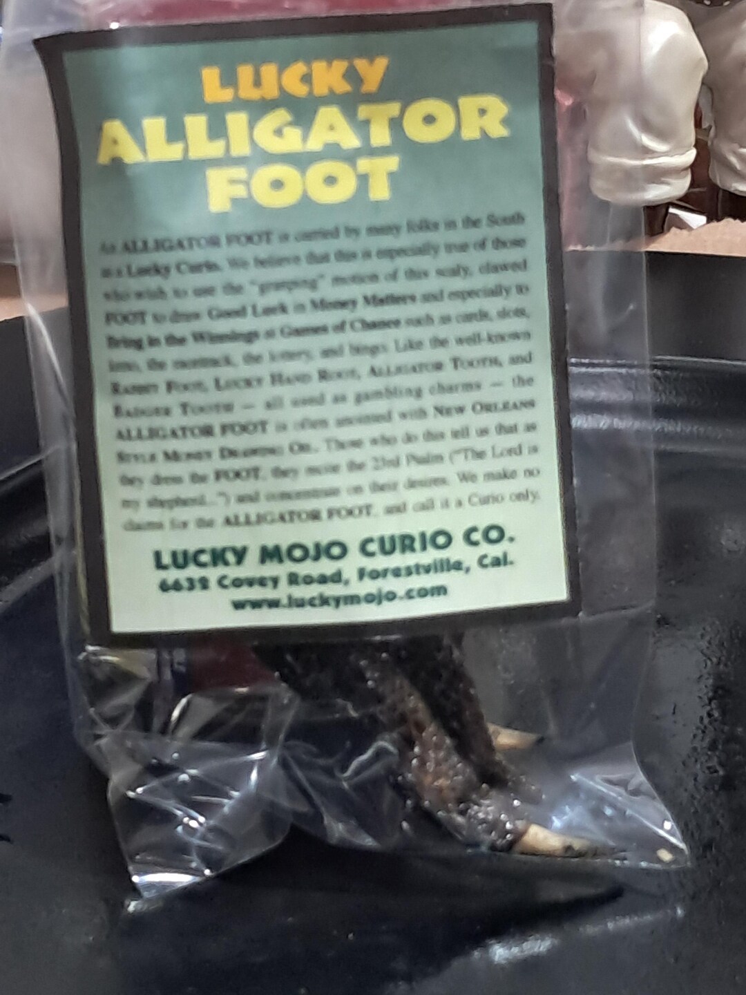 Genuine Alligator Foot: Hoodoo Gambling Luck, Prosperity, Protection - Etsy