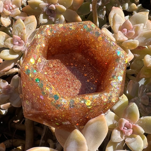 Mini Succulent - Etsy