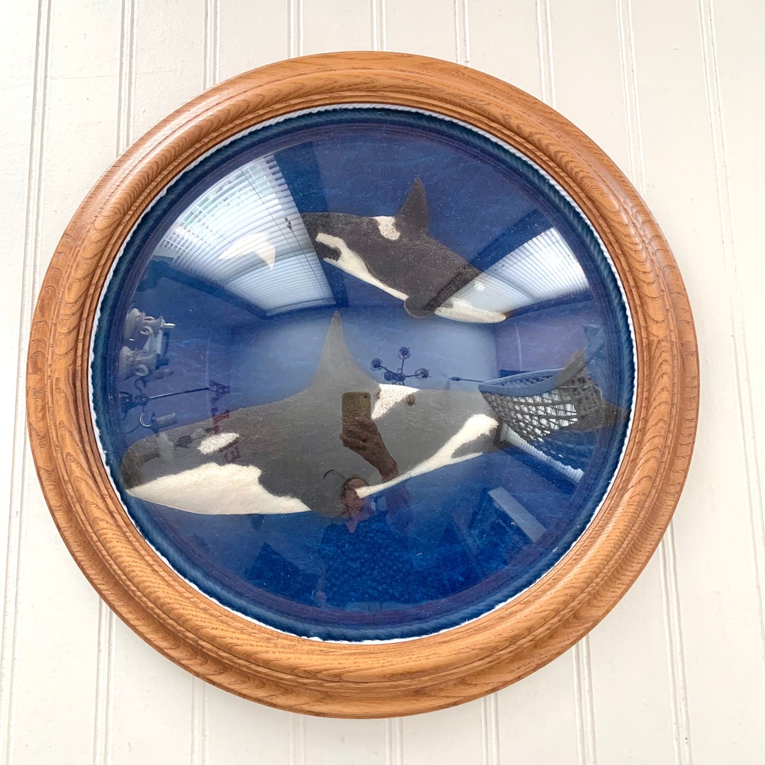 Vintage Orca Whales Alaska Wall Art, Caribou and Dall Sheep Hide Art ...