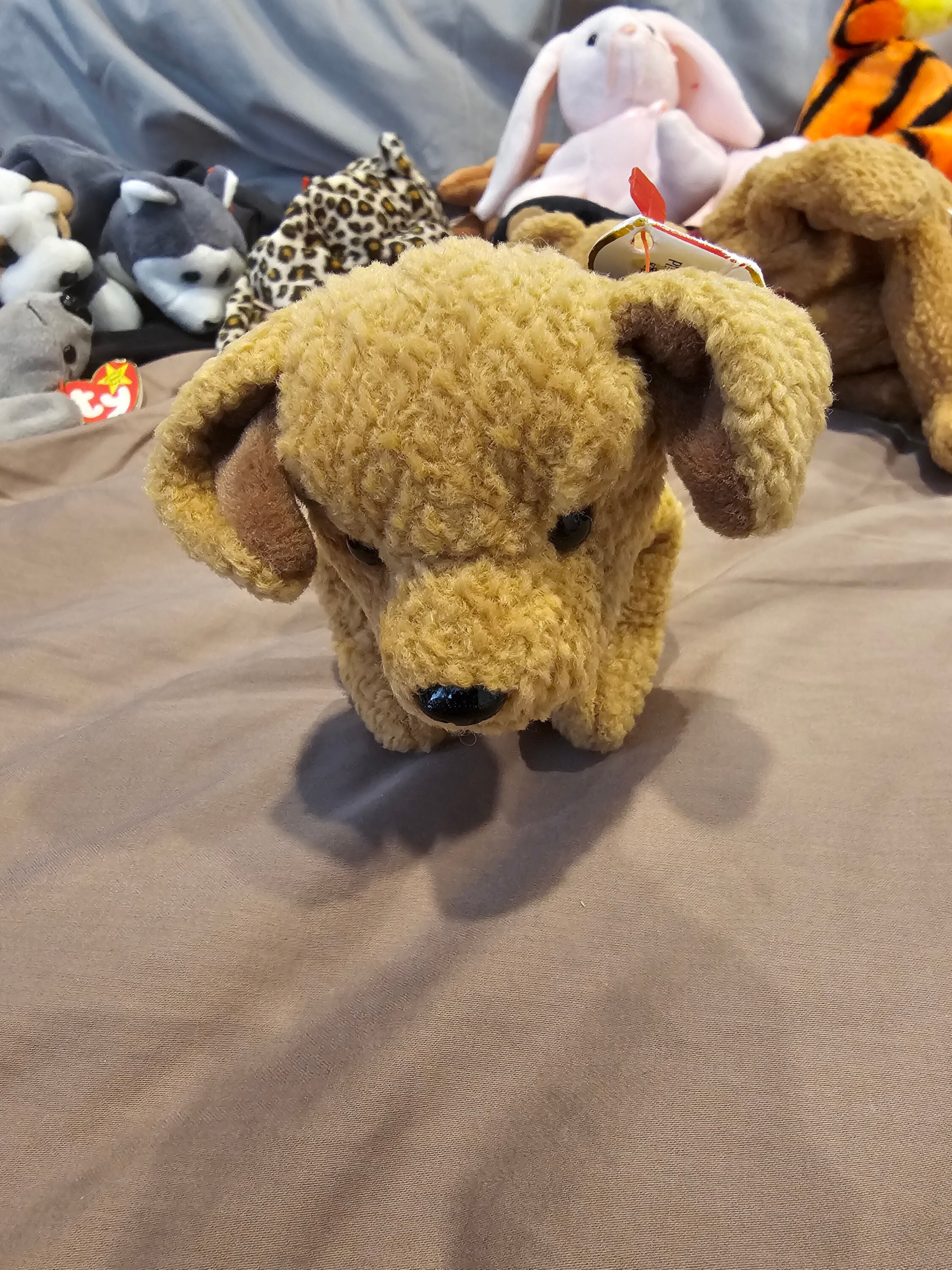 TUFFY RARE Beanie Baby! MINT Condition! - Etsy