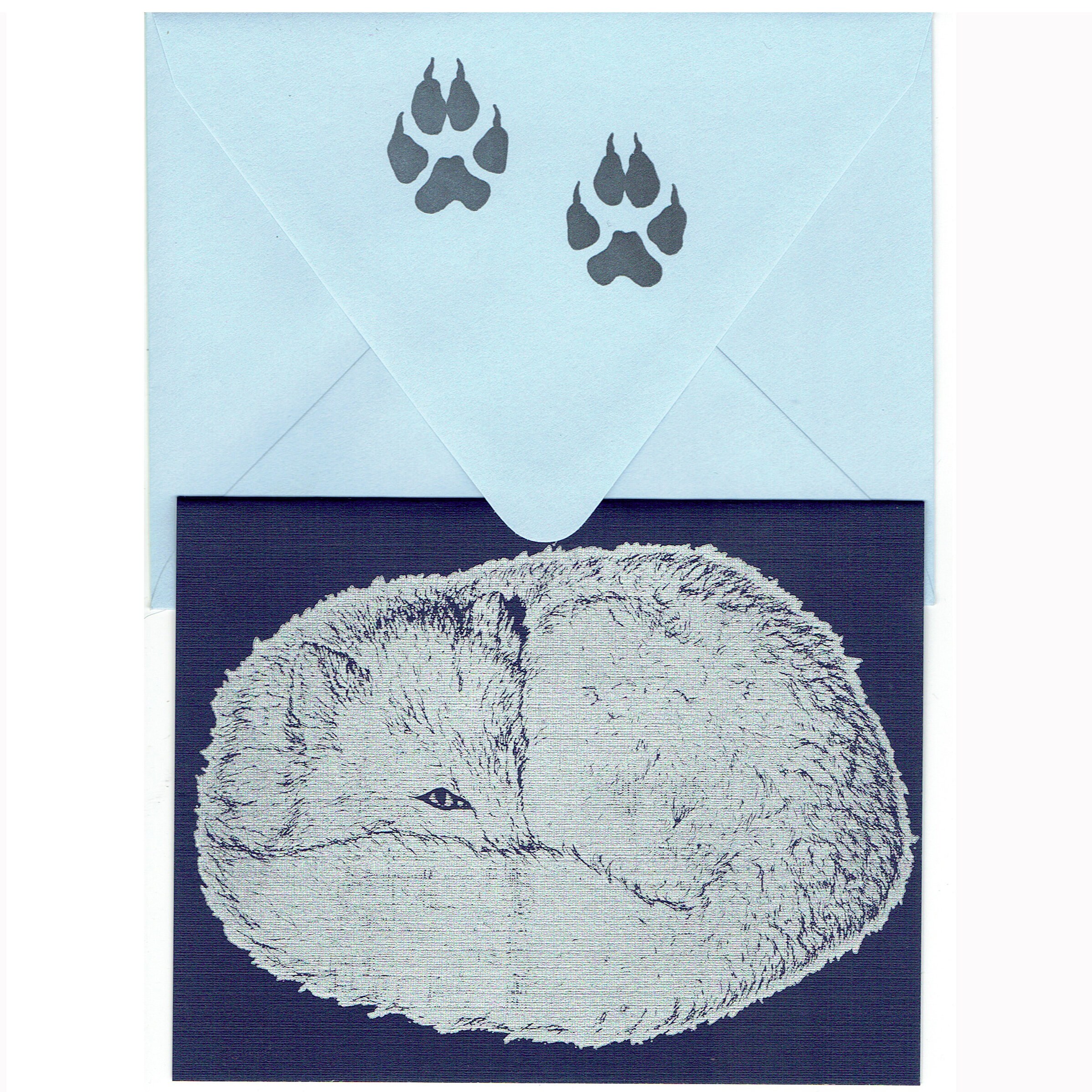 Boxed Set of 6 Arctic Creatures Cards - Etsy