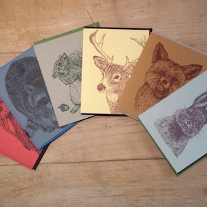 Box Set of 6 Woodland Creatures Cards Original Illustrations ...
