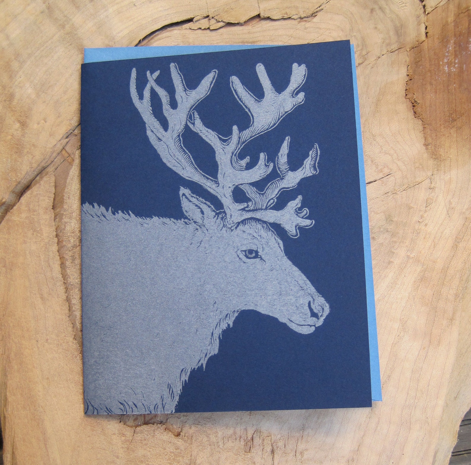 Boxed Set of 6 Arctic Creatures Cards - Etsy