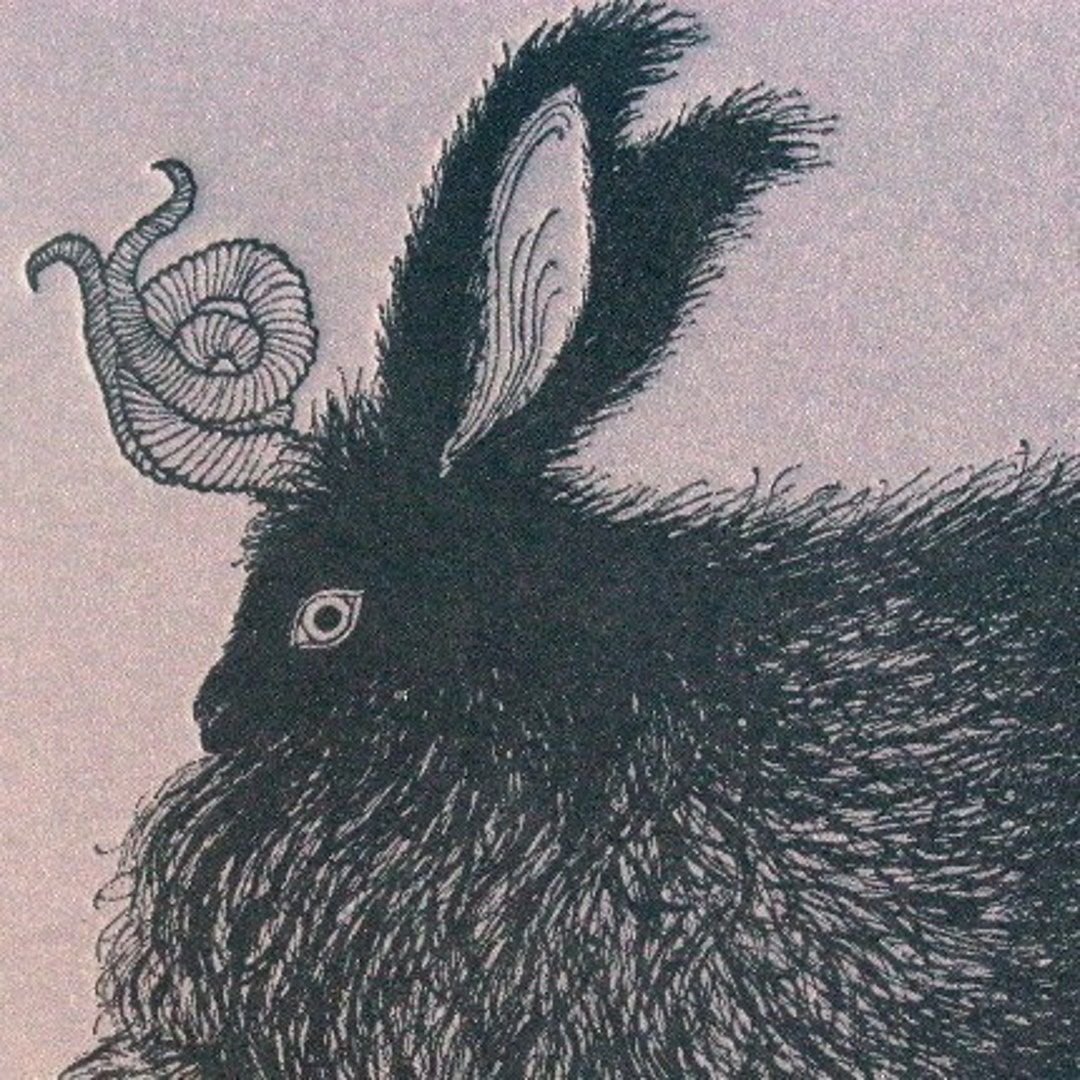Black Angora Bunnylope Card - Etsy