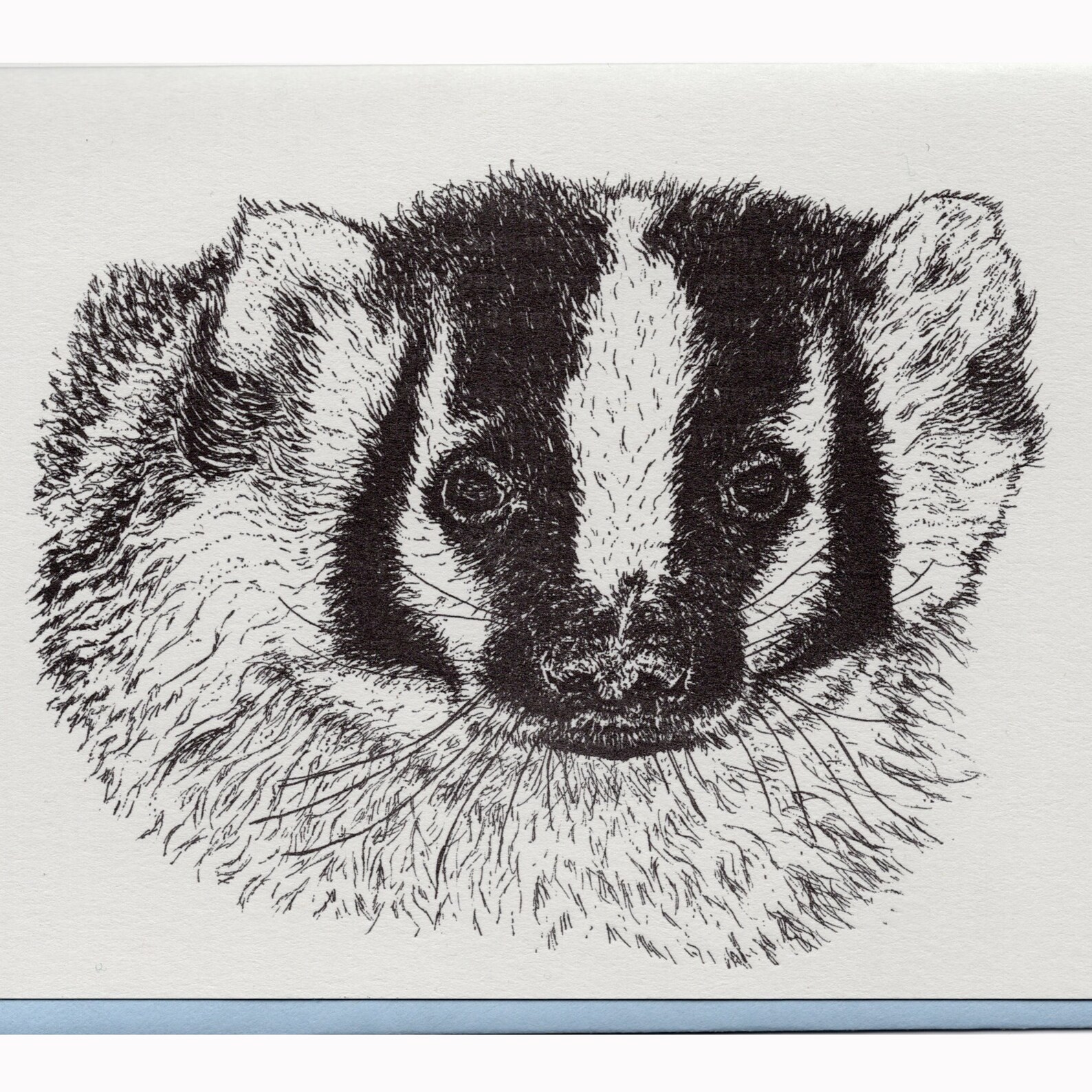 American Badger Card Letterpress Printed Black Ink on Grey Paper ...