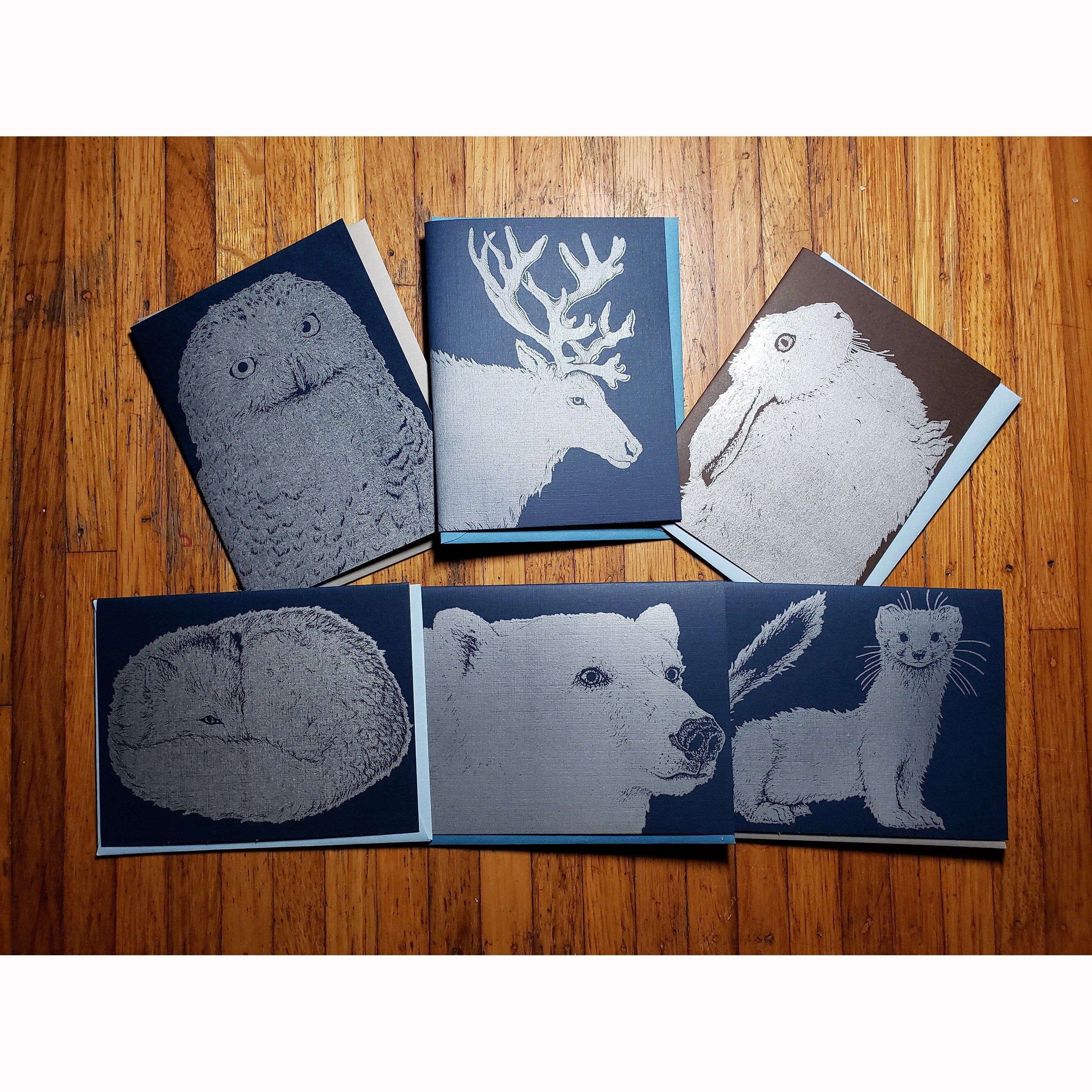 Boxed Set of 6 Arctic Creatures Cards - Etsy