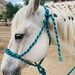 Custom Braided Mule Tape Halter - Etsy
