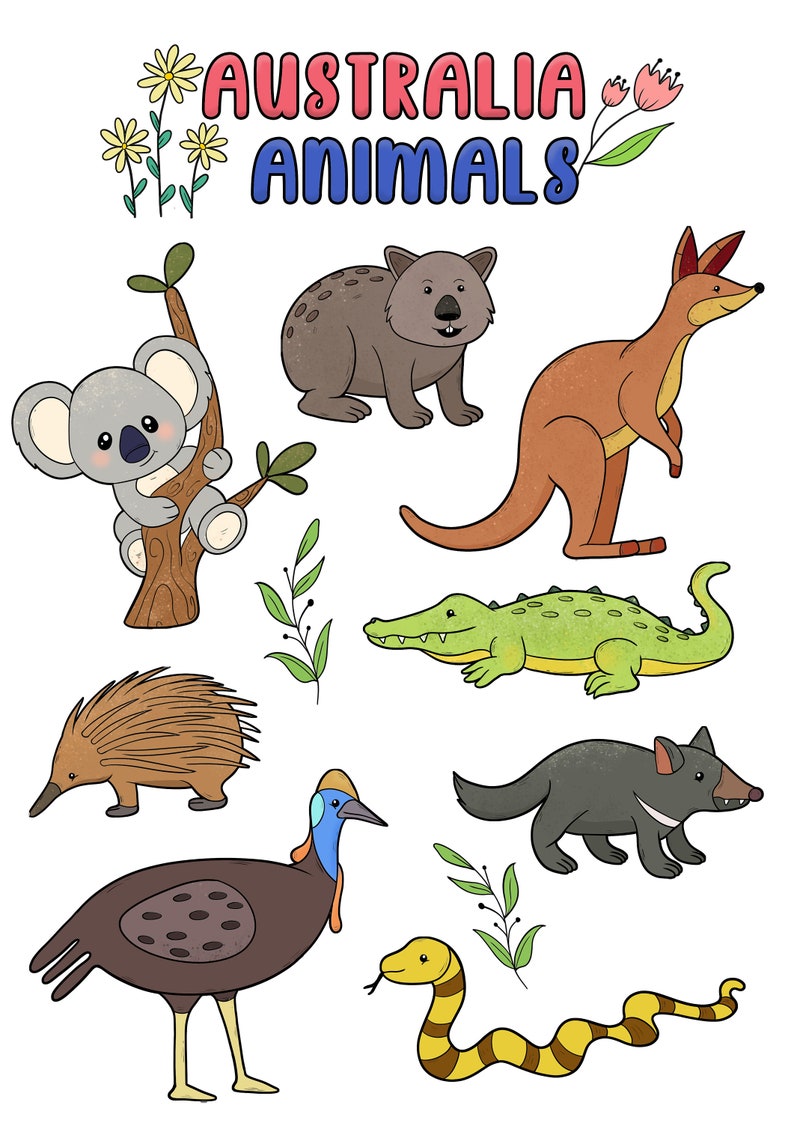 Digital Download | AUSTRALIAN ANIMALS | Aussie Animals | Coloring Book ...