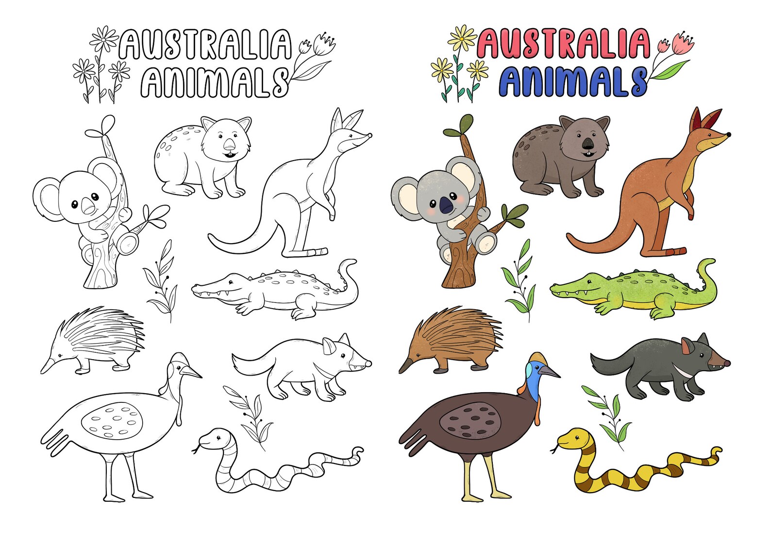 Digital Download | AUSTRALIAN ANIMALS | Aussie Animals | Coloring Book ...