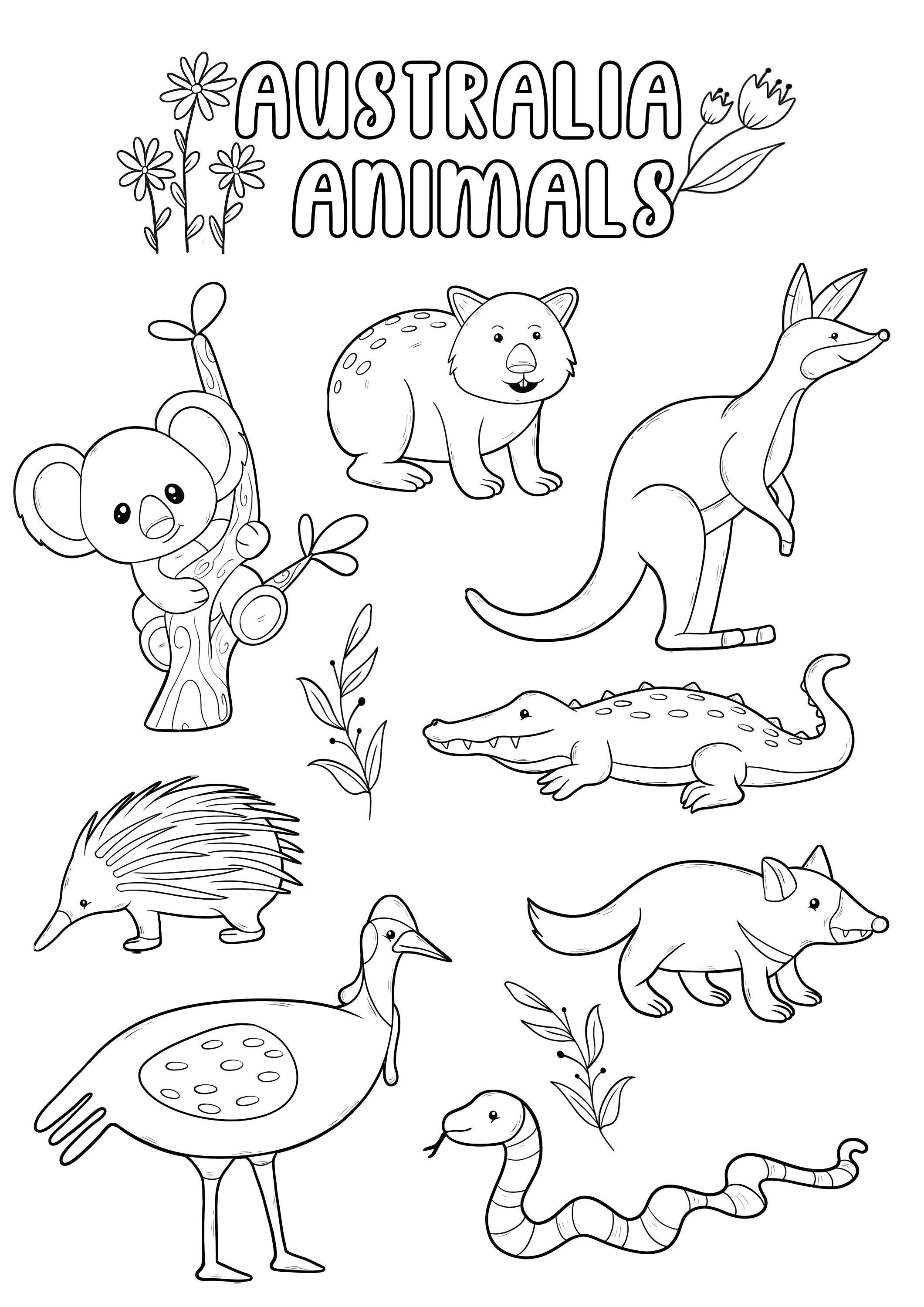 Digital Download AUSTRALIAN ANIMALS Aussie Animals Coloring Book ...