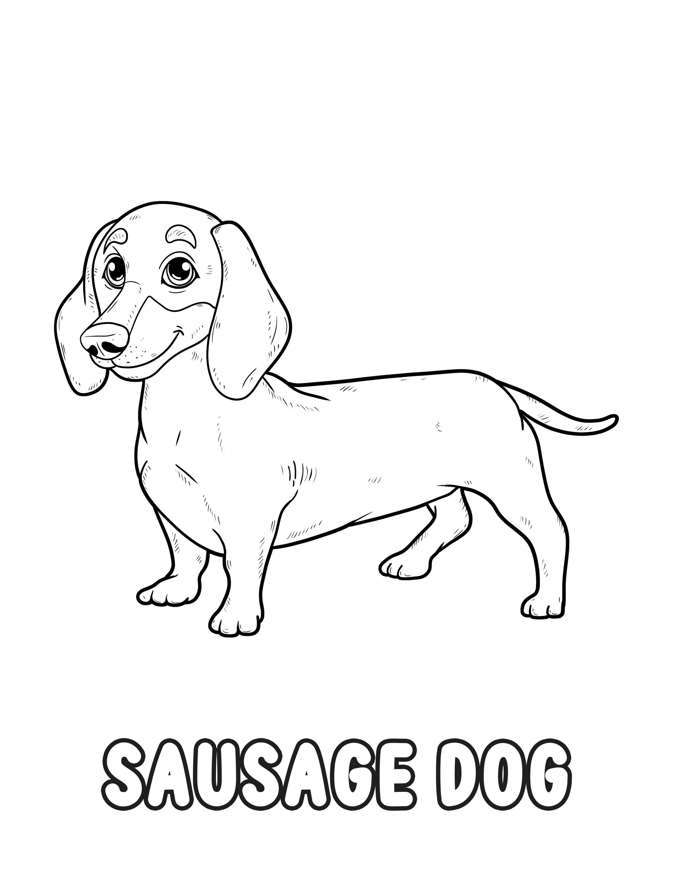 Dachshund Coloring Page for Kids: Fun Dog Activity (digital Download ...