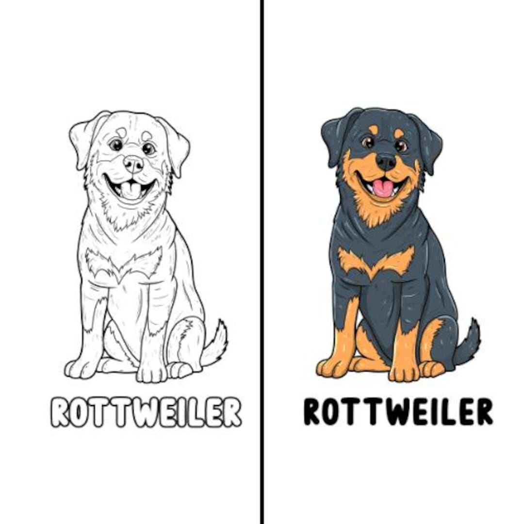 Rottweiler Colouring Page for Kids Printable Digital Download Instant ...