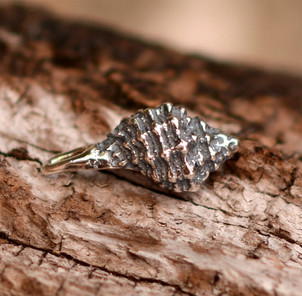 Small Sea Shell in Sterling Silver Morum Amabile Conch Shell - Etsy