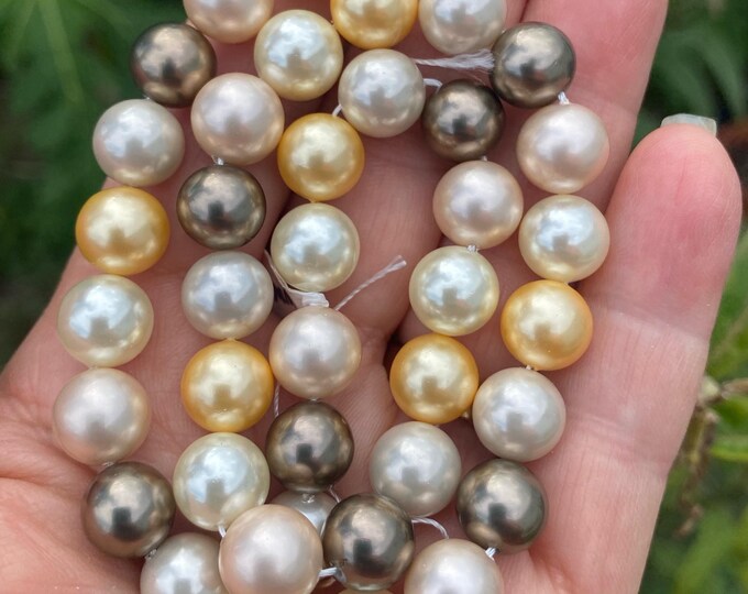 Deep Discount SALE! Shell Pearls, 10mm Golden Bronze Cream Mix, Listing ...
