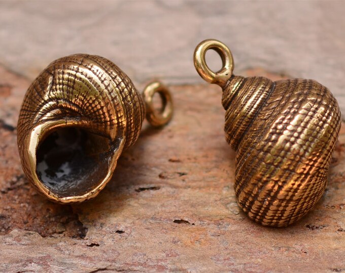 Fancy Snail Sea Shell in Gold Bronze - Etsy