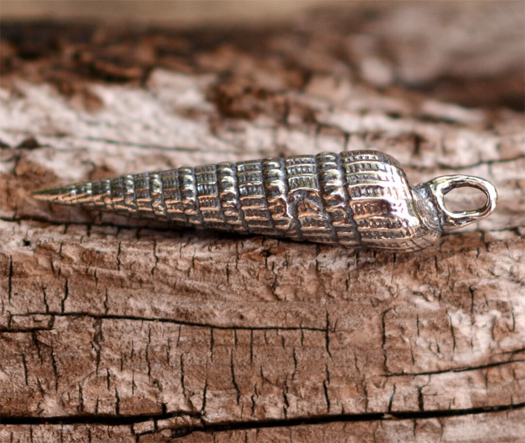 Auger Sea Shell in Sterling Silver, Conical Shell From Outer Banks, NC ...