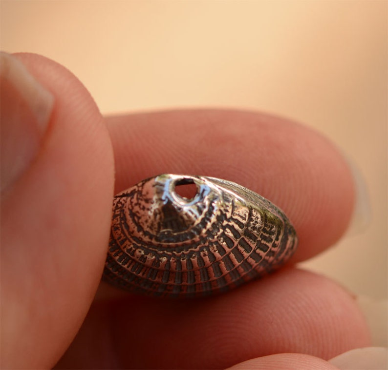 Cross Hatched Venus Sea Shell Pendant in Sterling Silver, Catd-484 - Etsy