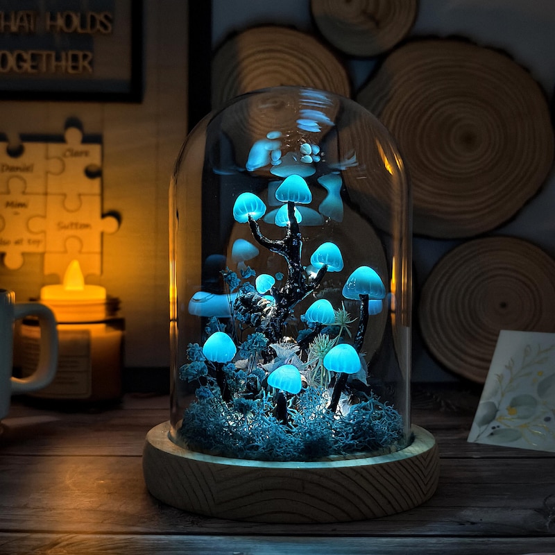 Mushroom Lamp Book - Etsy