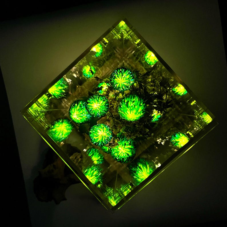 Handcrafted Mushroom Night Light | Real Flowers Decor | Mini Plant ...