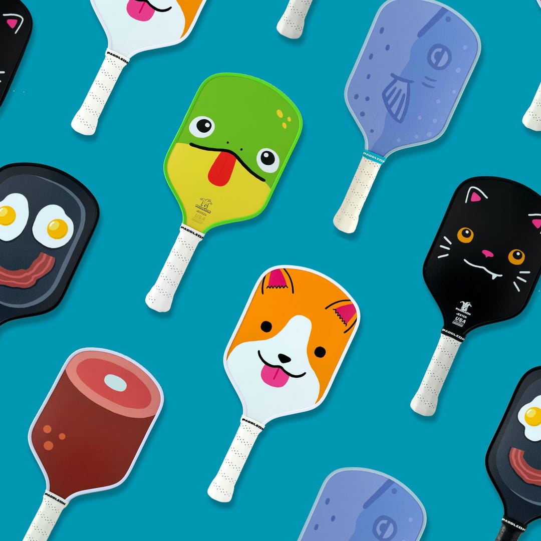 Funny Pickleball Paddles USAP Approved - Etsy