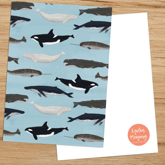 Postcard Whales Illustrated Pattern | Etsy