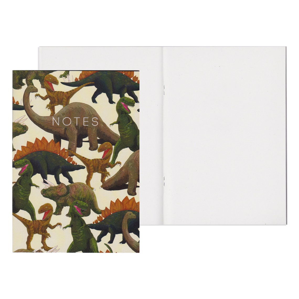 A6 Mini Notebook Dinosaurs | Etsy