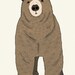 Postcard • Toby, Brown Bear Illustration - Etsy