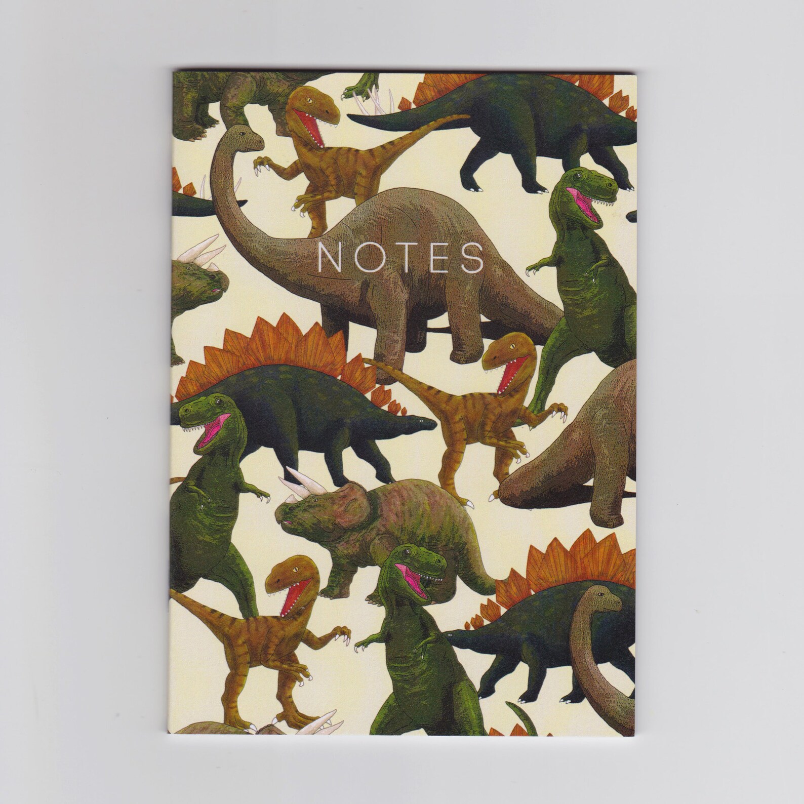 A6 Mini Notebook Dinosaurs | Etsy