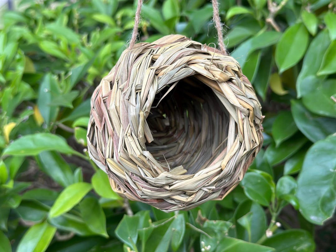 Bird Nest House Hummingbird Bird House Hand Woven Ball Shaped Birdhouse ...