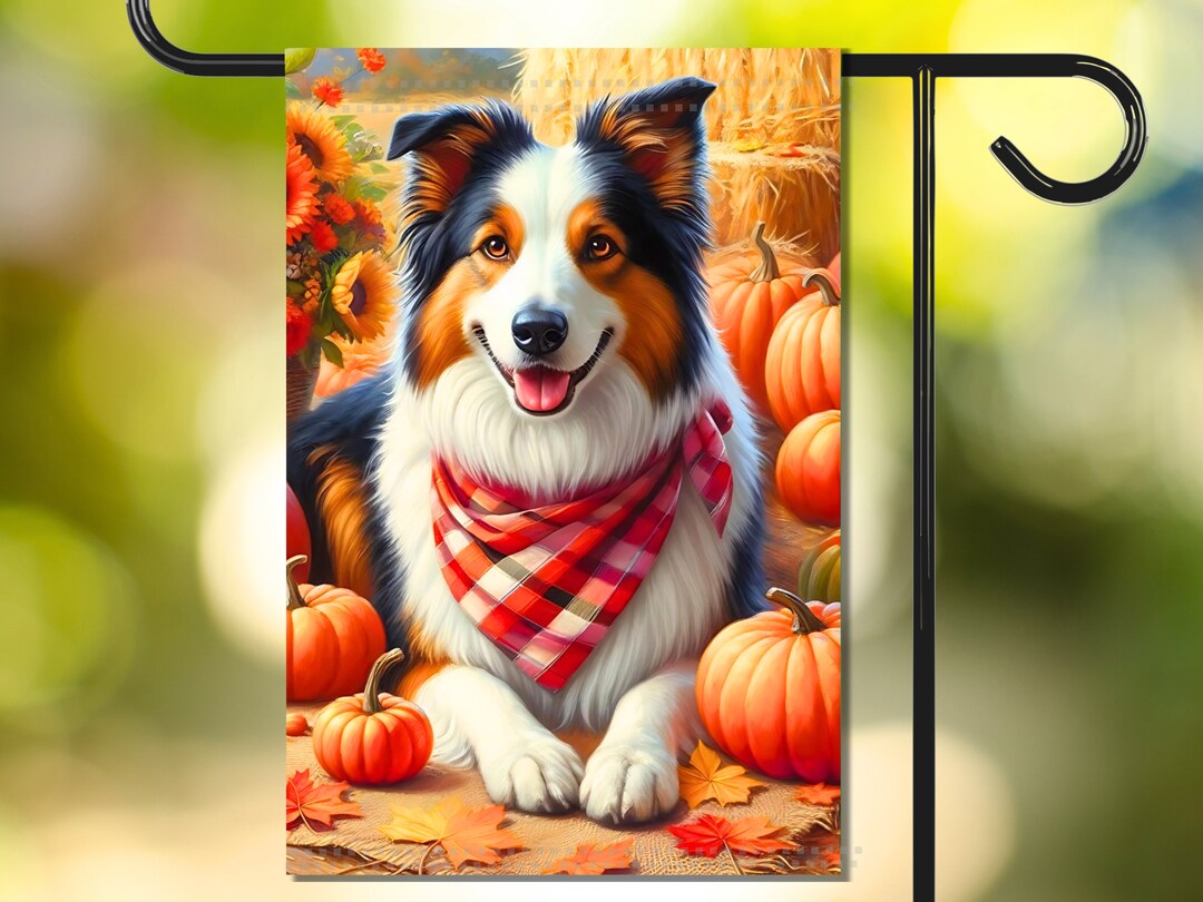 Border Collie Garden Flag 12x18 Garden Flag Sublimation Design Fall ...