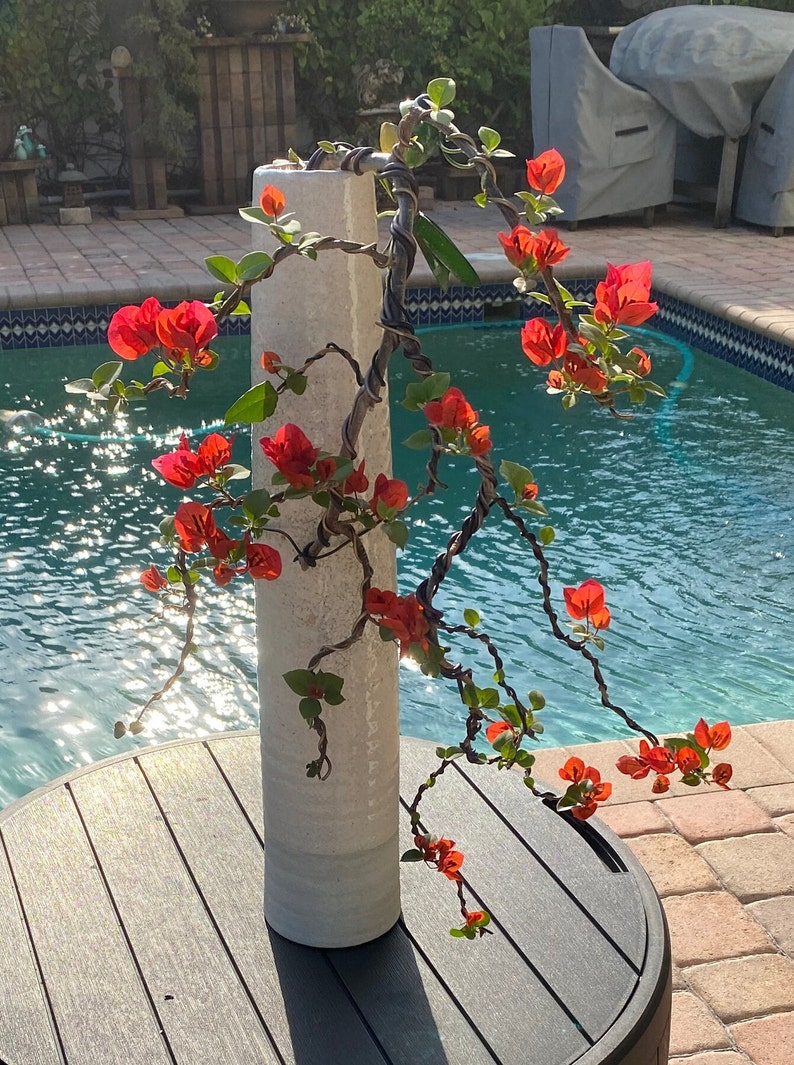 Stunning Red Bougainvillea Cascade Bonsai - Etsy