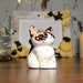 Ragdoll Cat Figurine, Tiny Cat Lover Present, Kawaii Gift. Siamese Cat ...