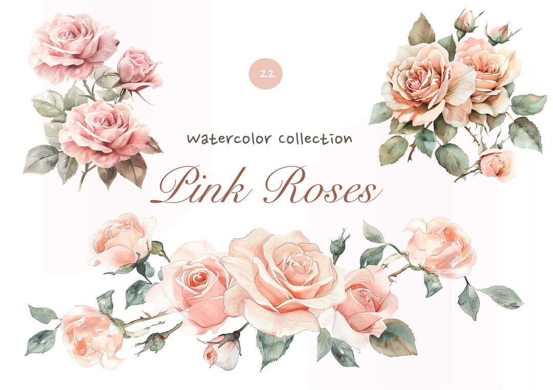 Watercolor Pink Rose, Border Clipart, PNG, Wedding Bridal Shower Cards ...