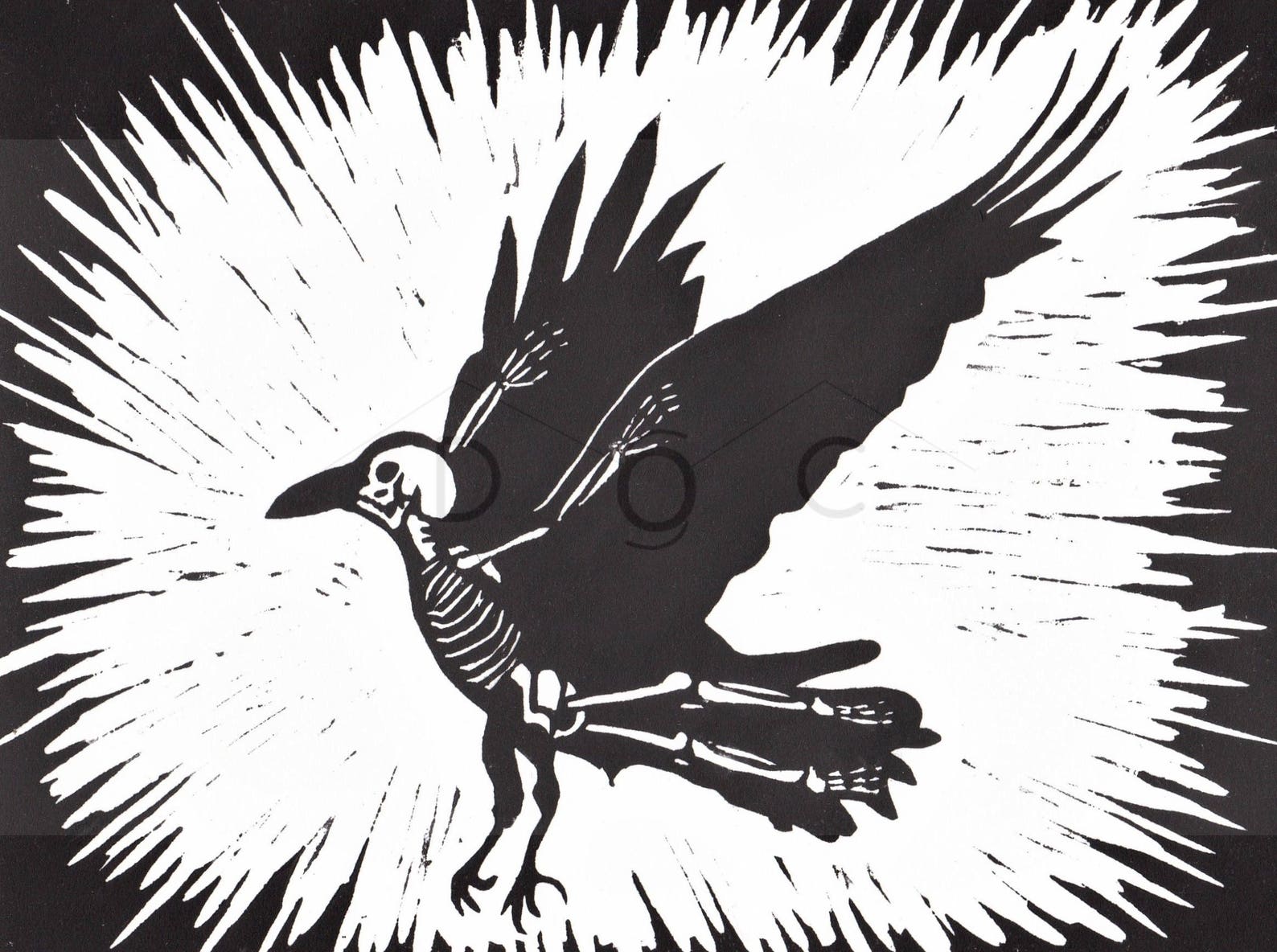 The Human Corvid - Zoological Hominid Series - Linocut, Relief Print ...