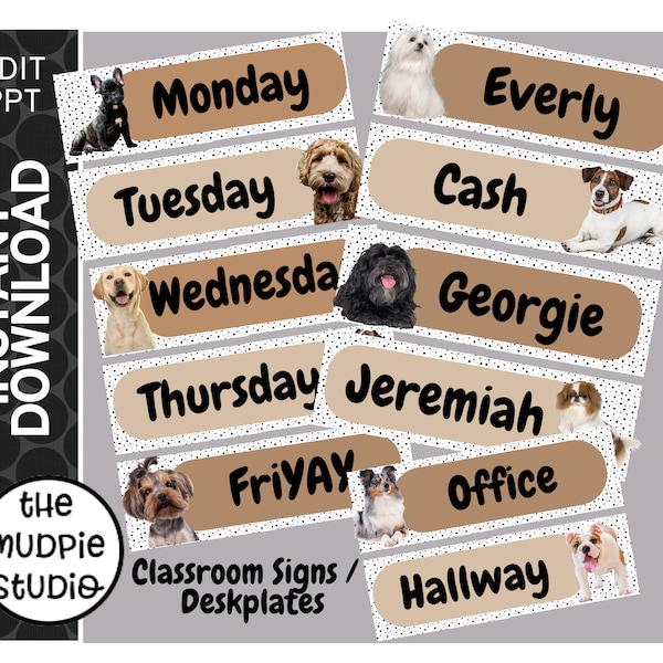 Classroom Decor - Etsy