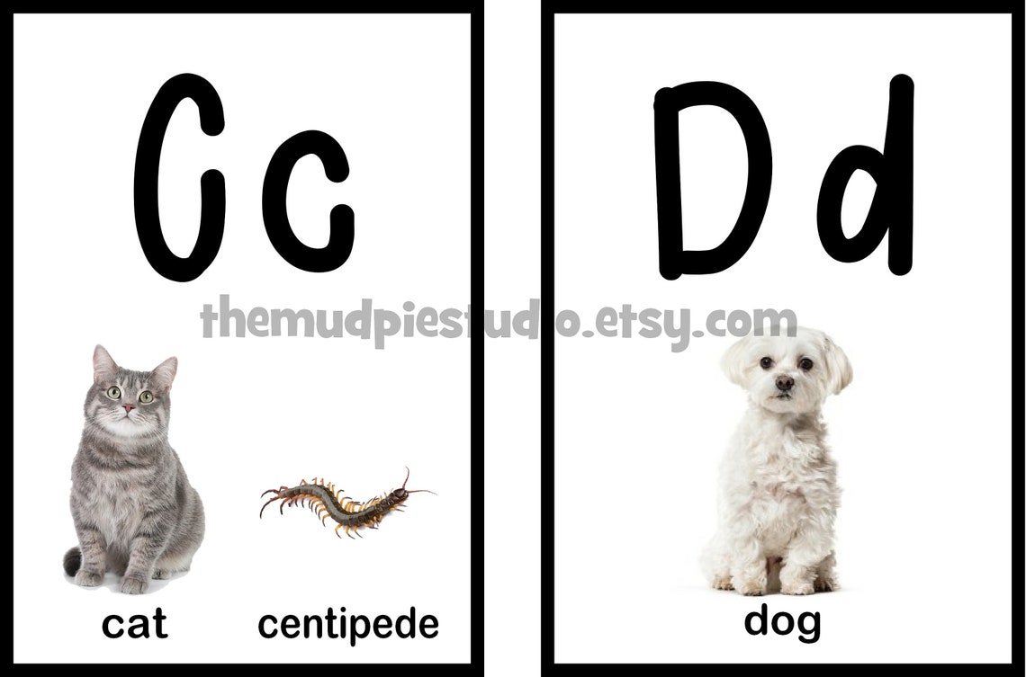 Alphabet Printable Animal Abcs Classroom Decor Reading - Etsy