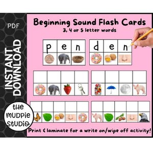Beginning Sound Flash Cards - Phonics, Phonemic Awareness, Sound ...
