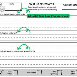 Editable Sentence Correction PPT - Writing Fluency, Spelling (digital ...