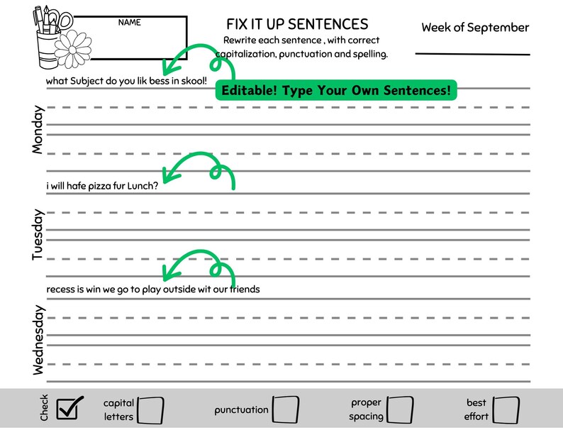 Editable Sentence Correction PPT - Writing Fluency, Spelling (digital ...