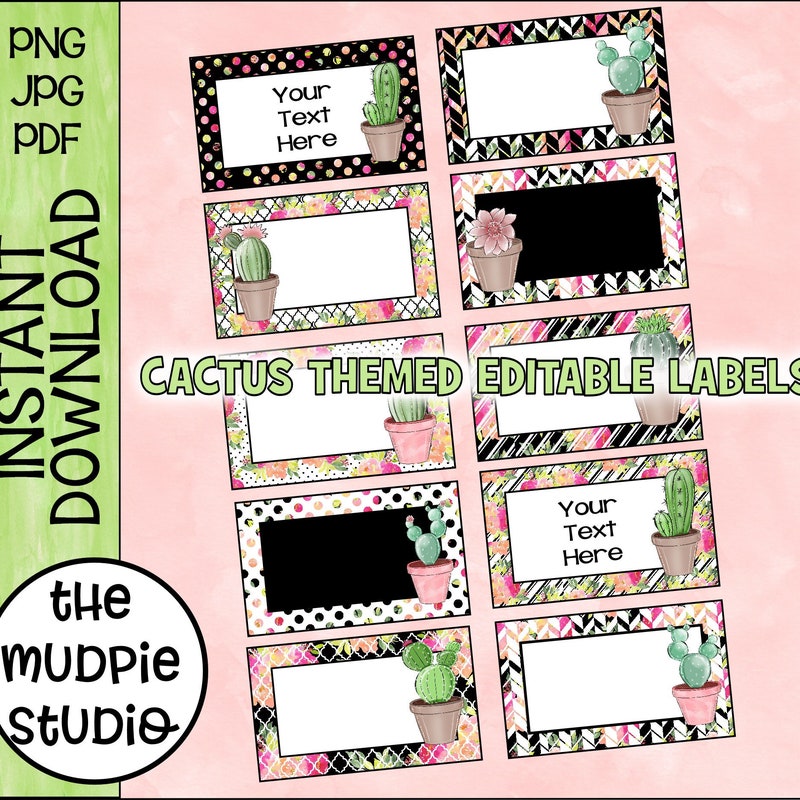 Classroom Cactus - Etsy