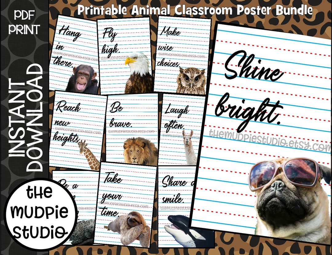 Animal Posters - Classroom Decor, Animal Classroom, Printable, Animal ...
