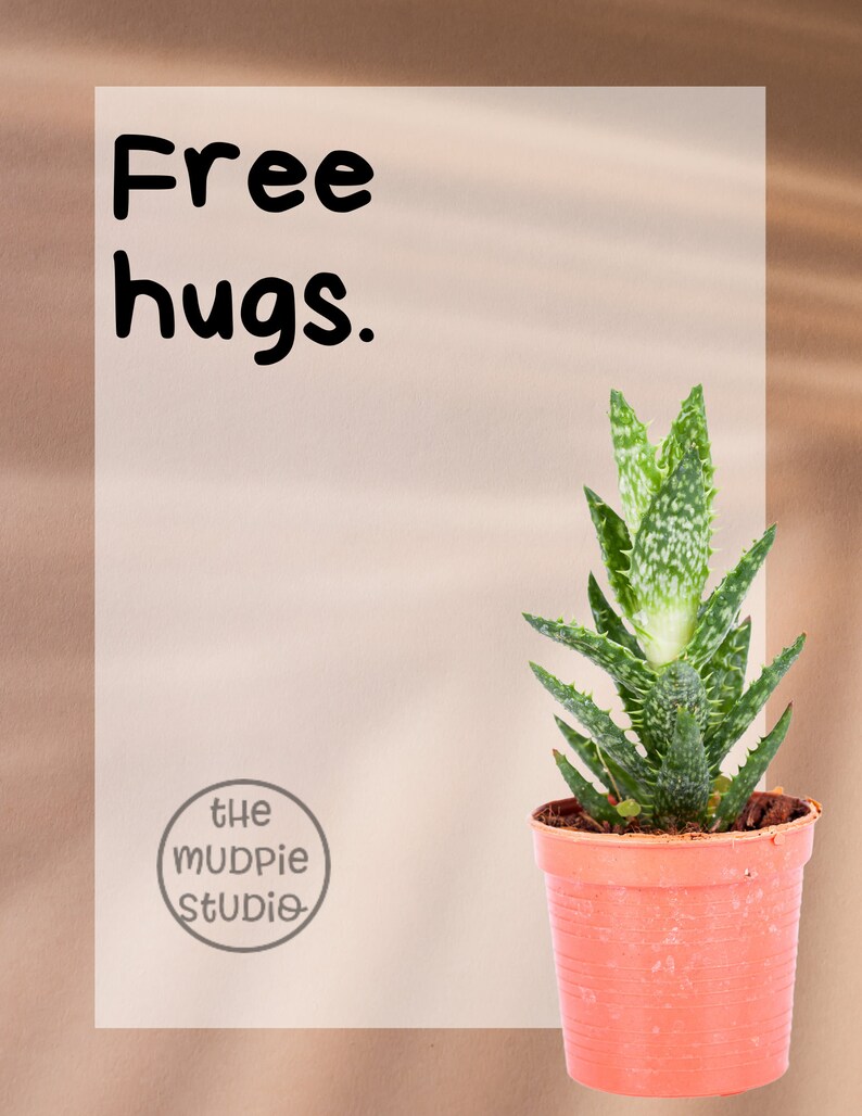 Boho Classroom Cactus Posters Cactus Decor Sign Classroom - Etsy