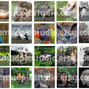 Stickers for Students, Teachers, Virtual Teaching, E-learning, Google ...